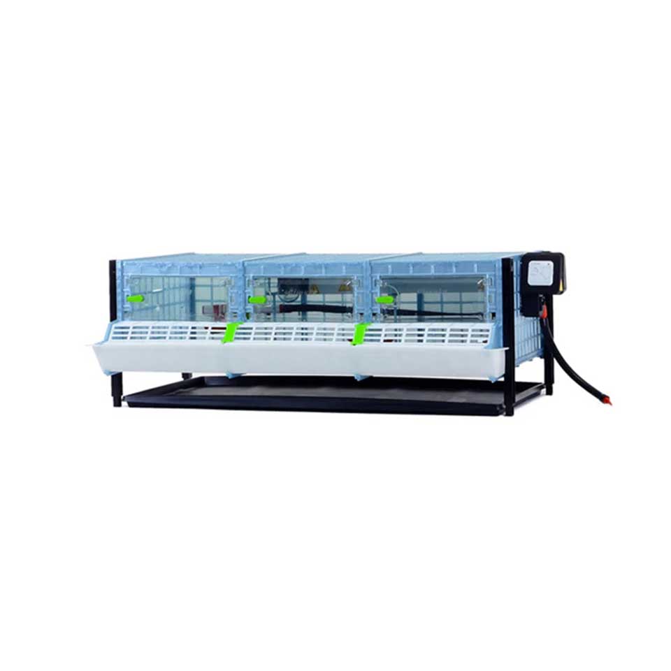 Chick Brooding Cage CB25 (Triple) – Brookfield Poultry Equipment