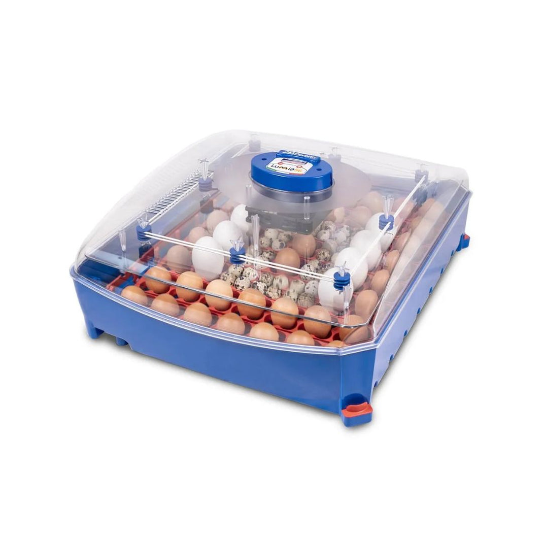 Incubators – Brookfield Poultry Equipment