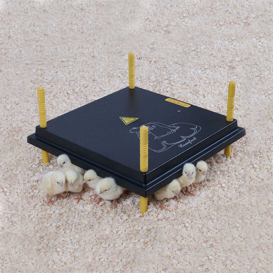 Incubators & Brooding – Brookfield Poultry Equipment